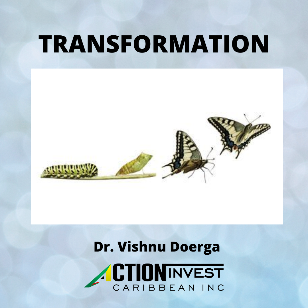 Transformation - Vishnu Doerga